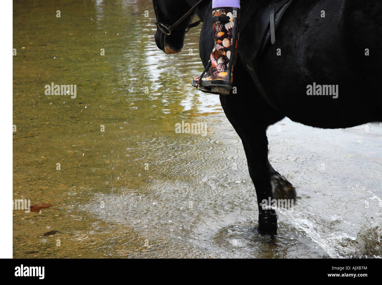 Horse and rider walking through water Stock Photo - Alamy