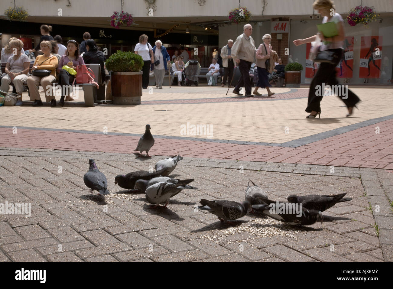 Shoppers relax in a shopping mall, whilst pigeons feed in the ...