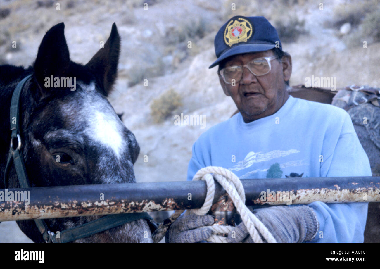 Supai indian village grand canyon hi-res stock photography and images ...