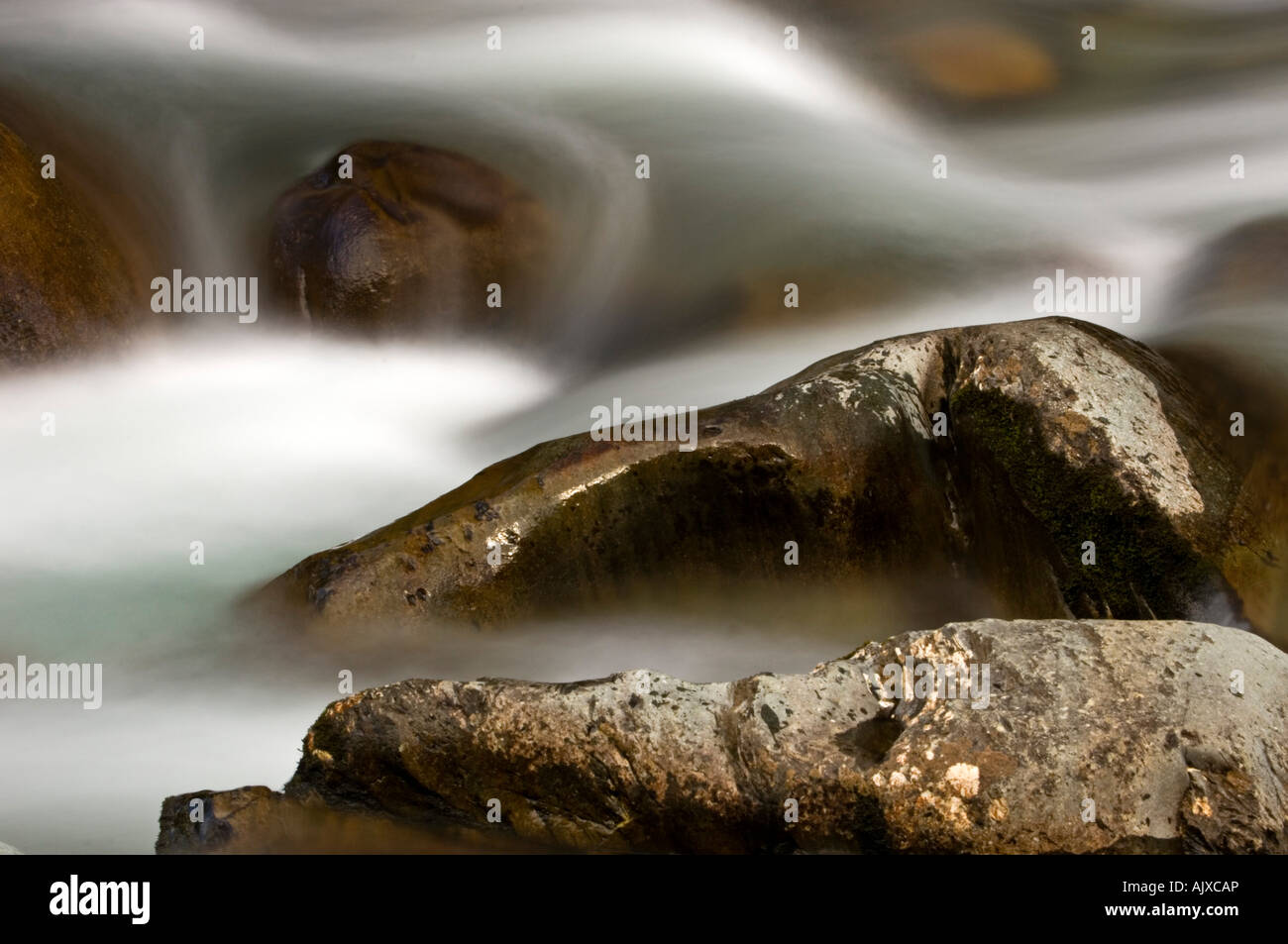 Middle prong of Pigeon River- rocks and rapids, Great Smoky Mountains ...