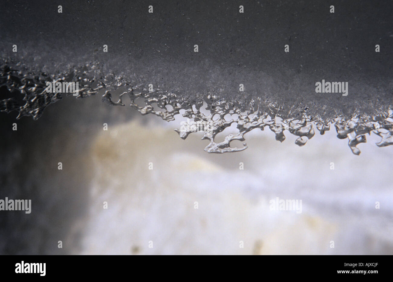 Layer of melting ice in closeup Stock Photo - Alamy