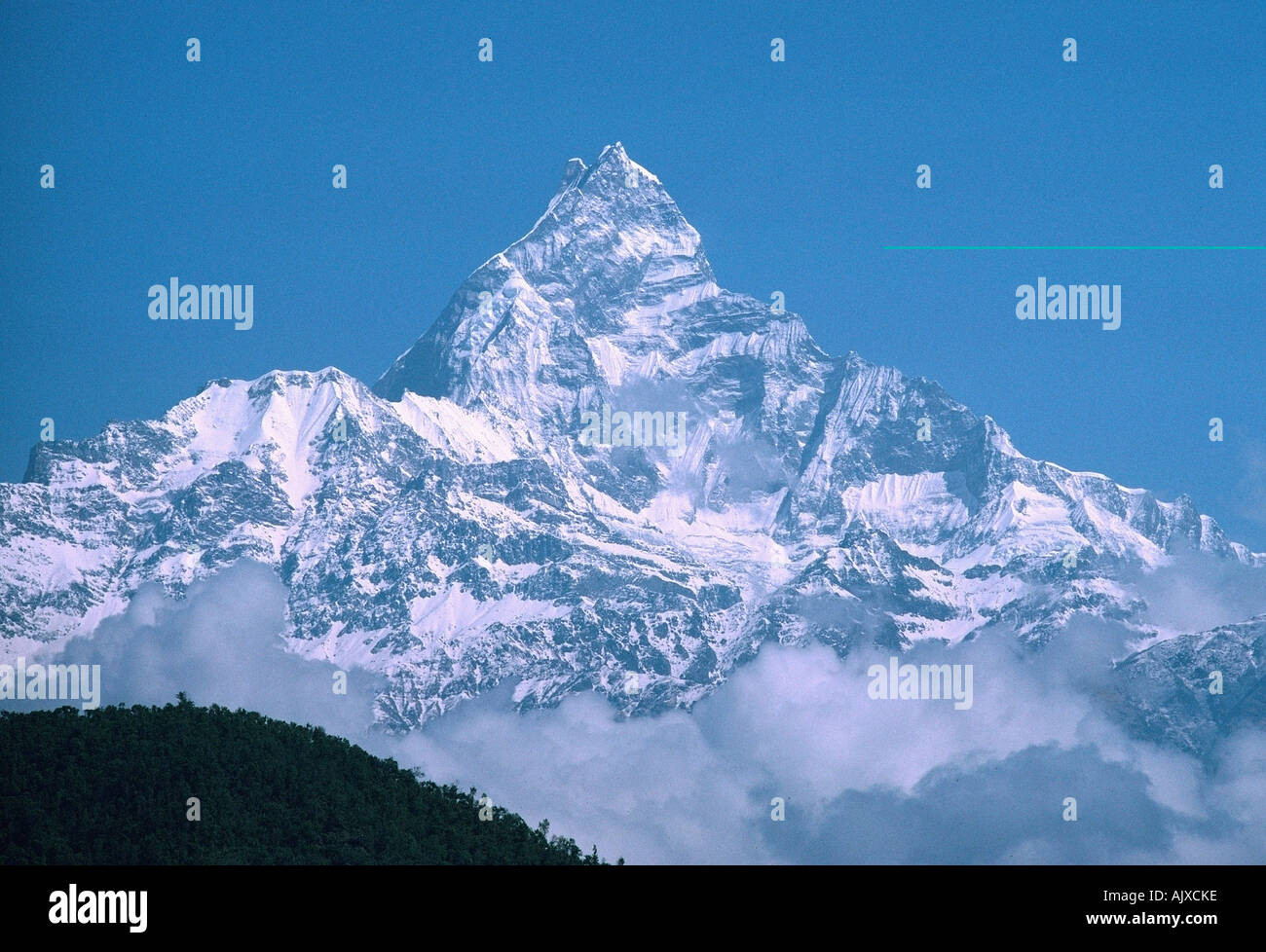 Maccapucchare hi-res stock photography and images - Alamy