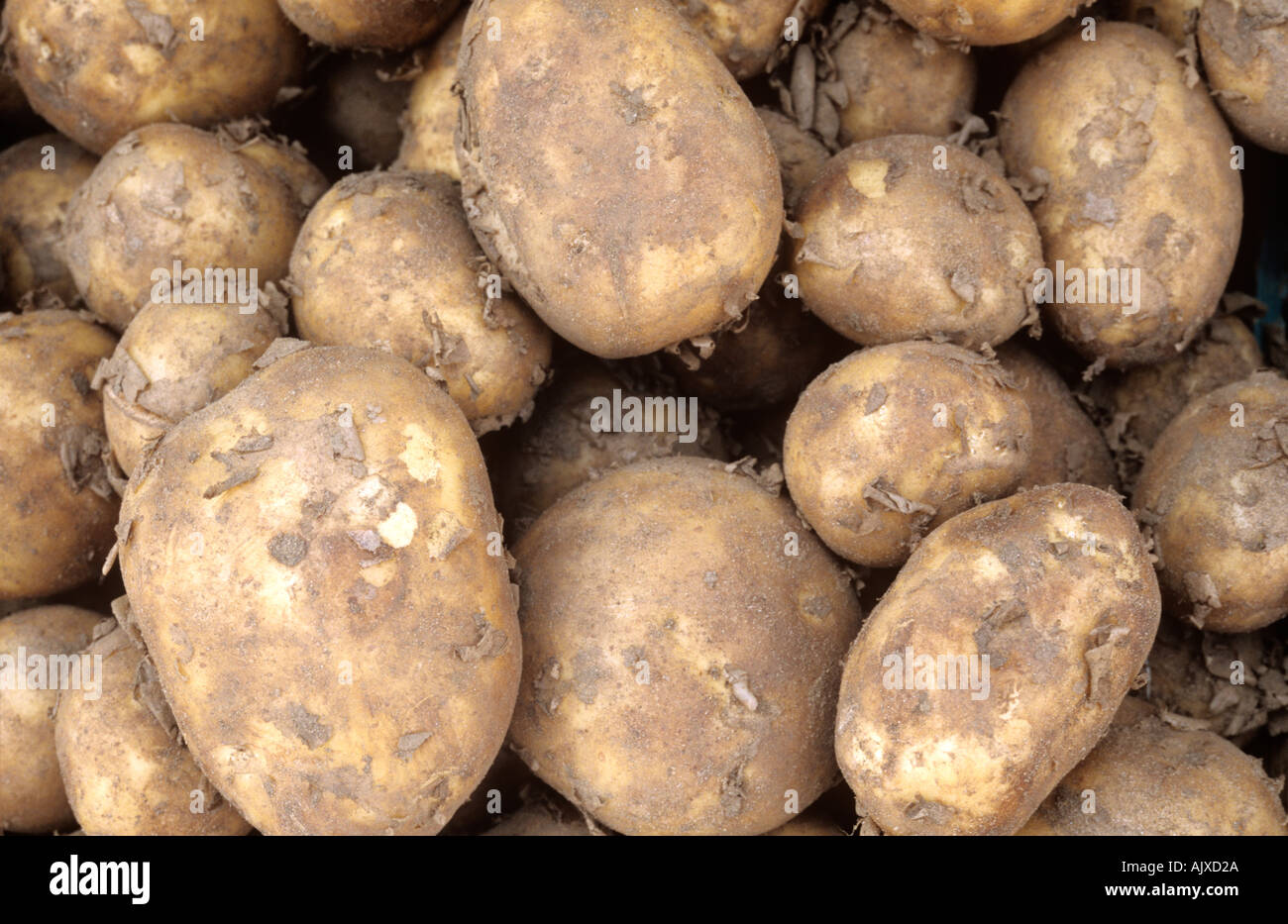 Potatoes vary hi-res stock photography and images - Alamy