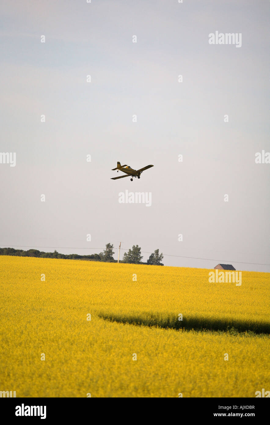 Aircraft spraying crops in scenic Saskatchewan Stock Photo - Alamy