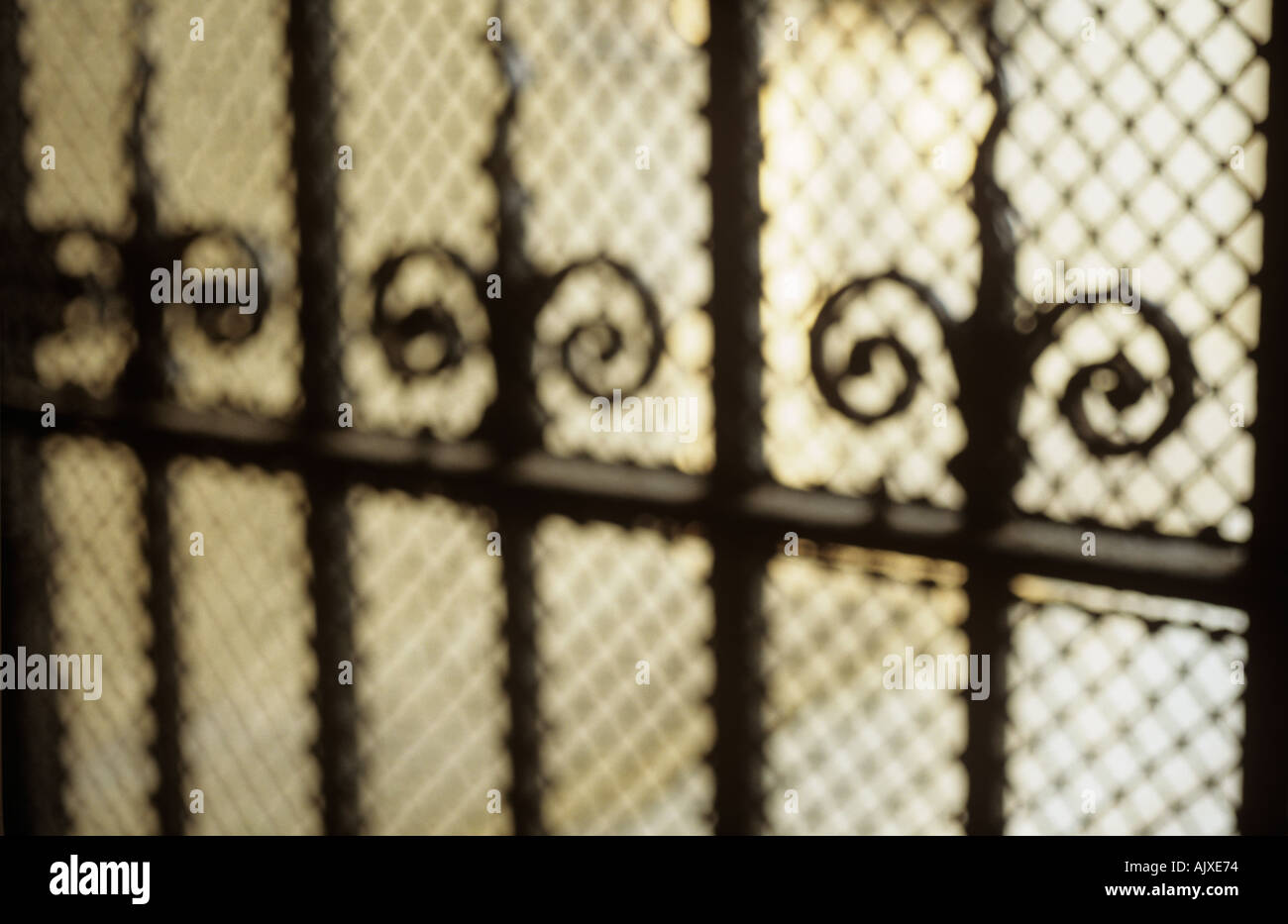 Decorative wrought iron gate and wire mesh Stock Photo - Alamy