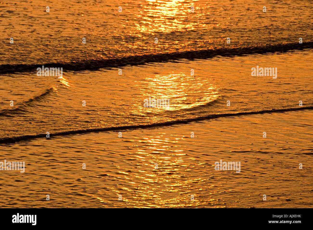 Sunrise light reflected on light surf along Cabot Beach, Malpeque, PE ...