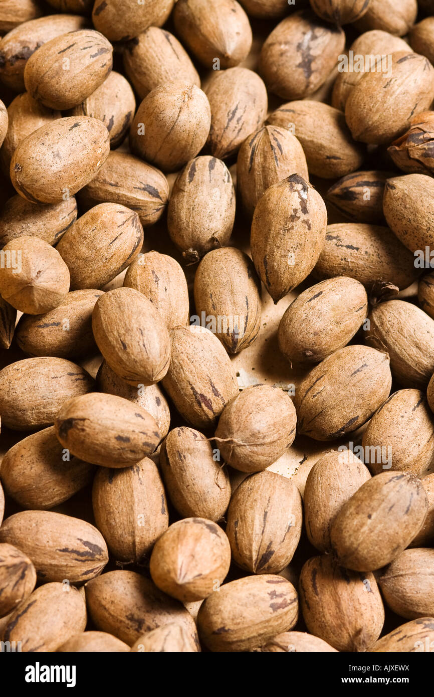 Two pecans hi-res stock photography and images - Alamy