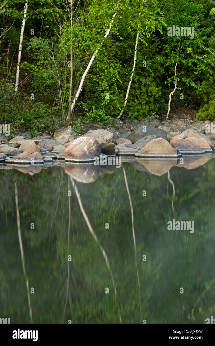 Birch trees and shoreline rocks reflected in quiet bay of Simon Lake ...