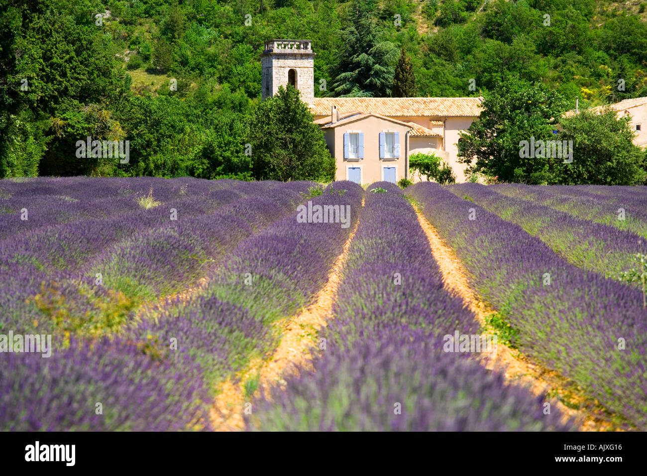 French farmhouse hi-res stock photography and images - Alamy