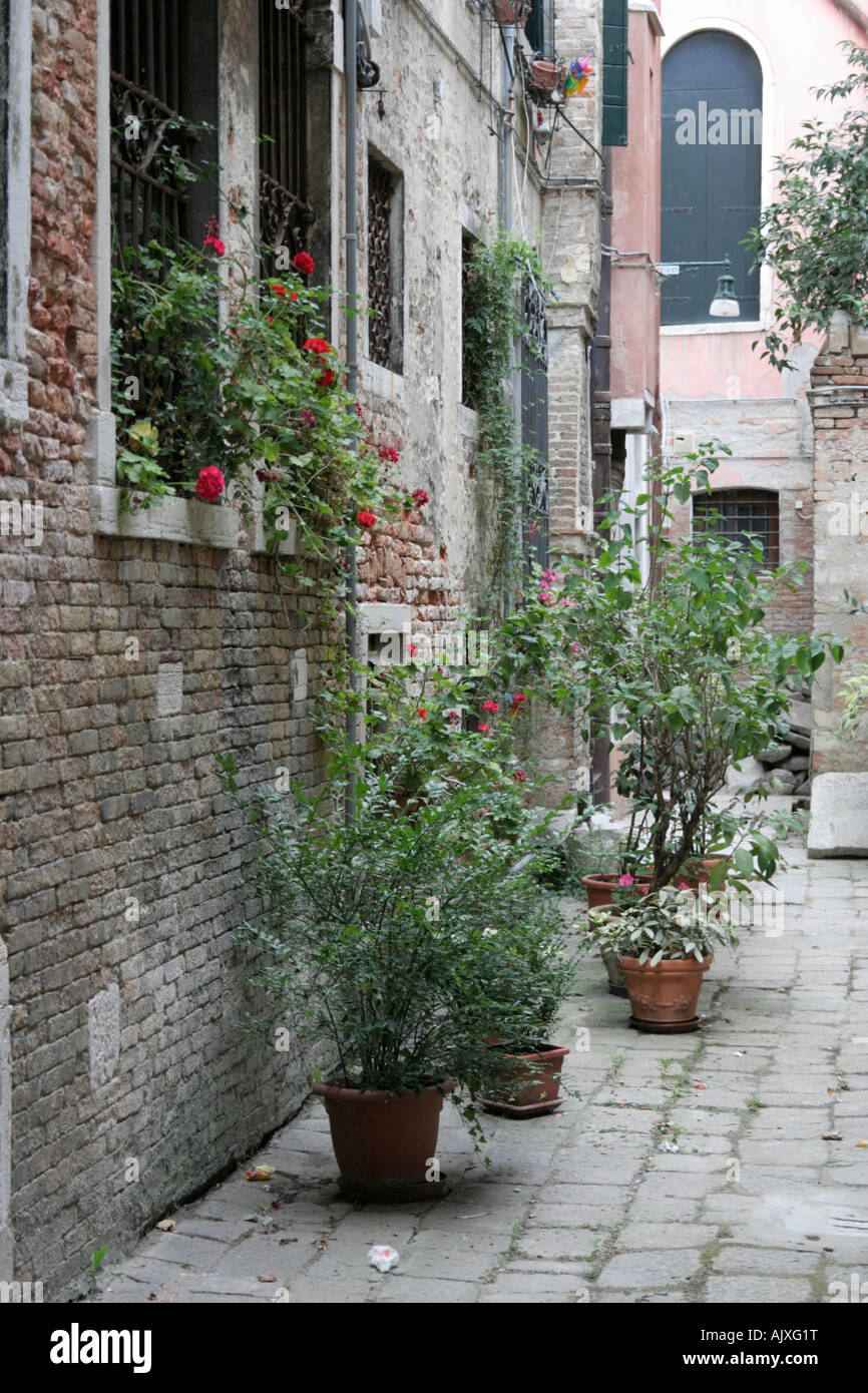 Plants in street Stock Photo - Alamy
