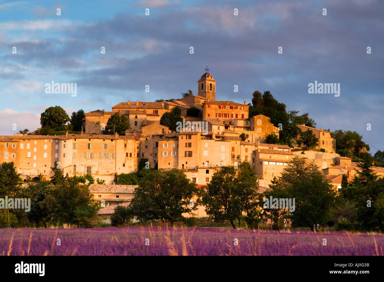 Village of Banon Viewed over Lavander in the early morning Light ...