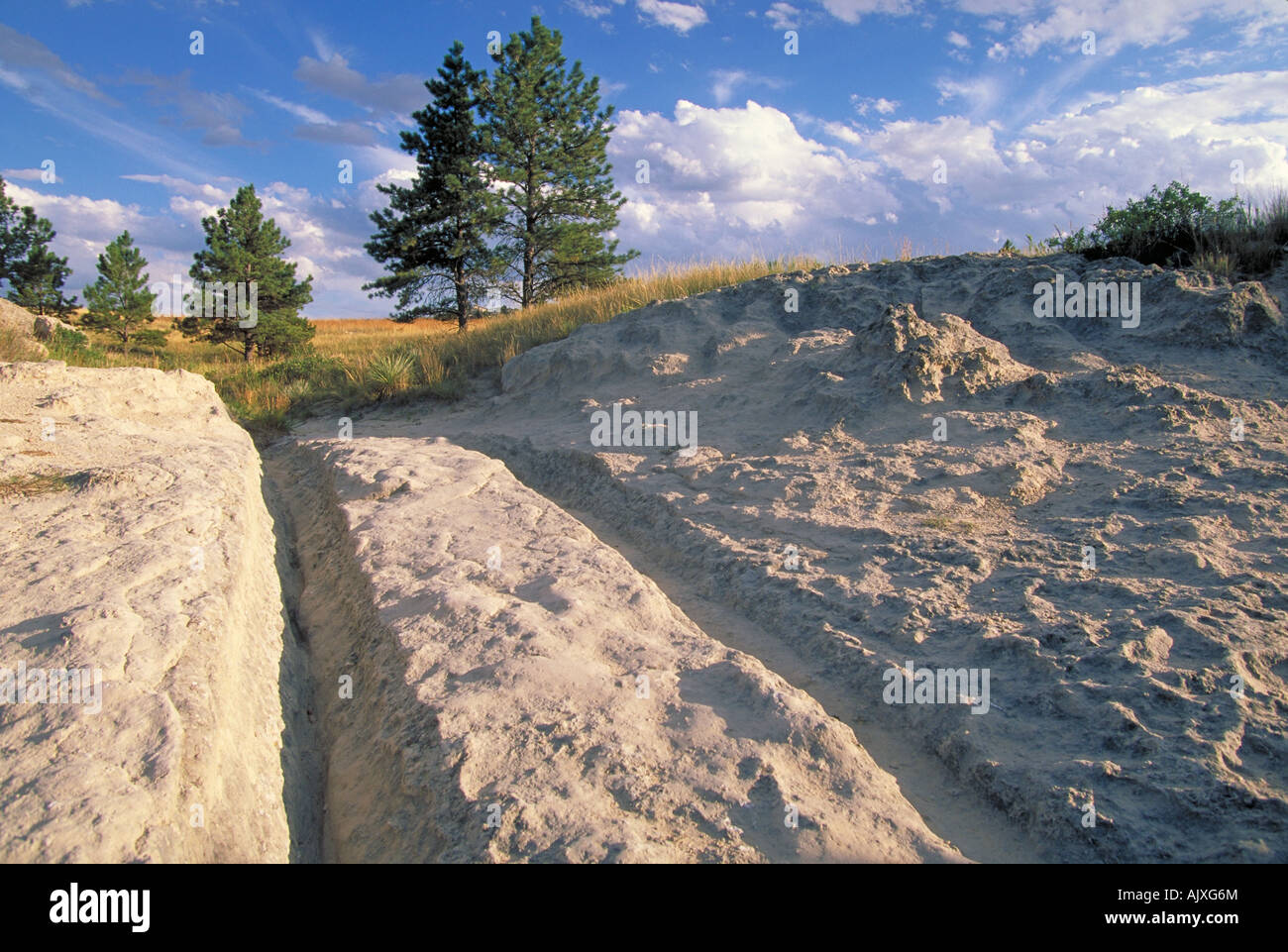 Oregon trail wheel ruts hi-res stock photography and images - Alamy