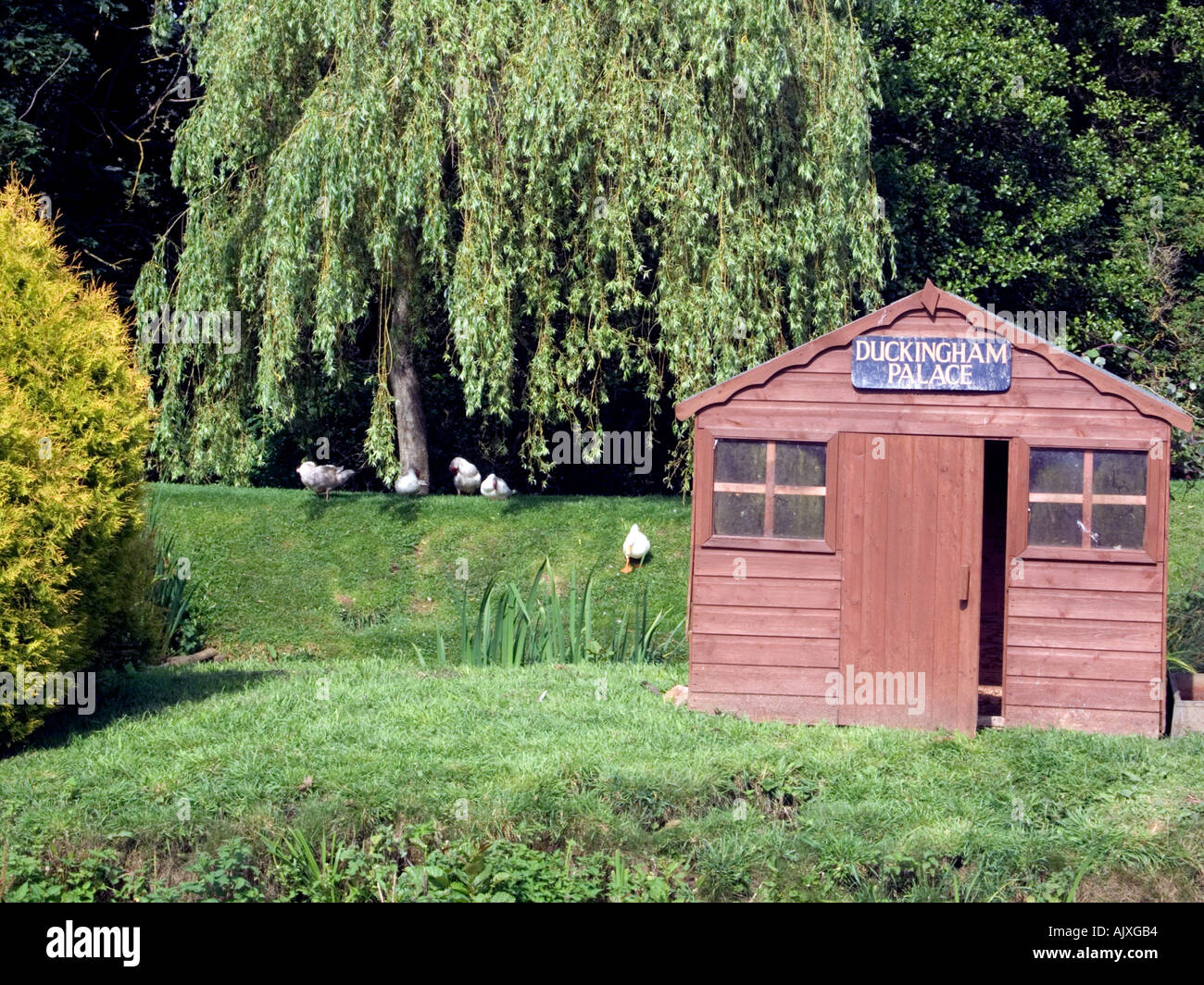 Duckingham Palace duck house, Haselbury Mill, Somerset, England, UK ...