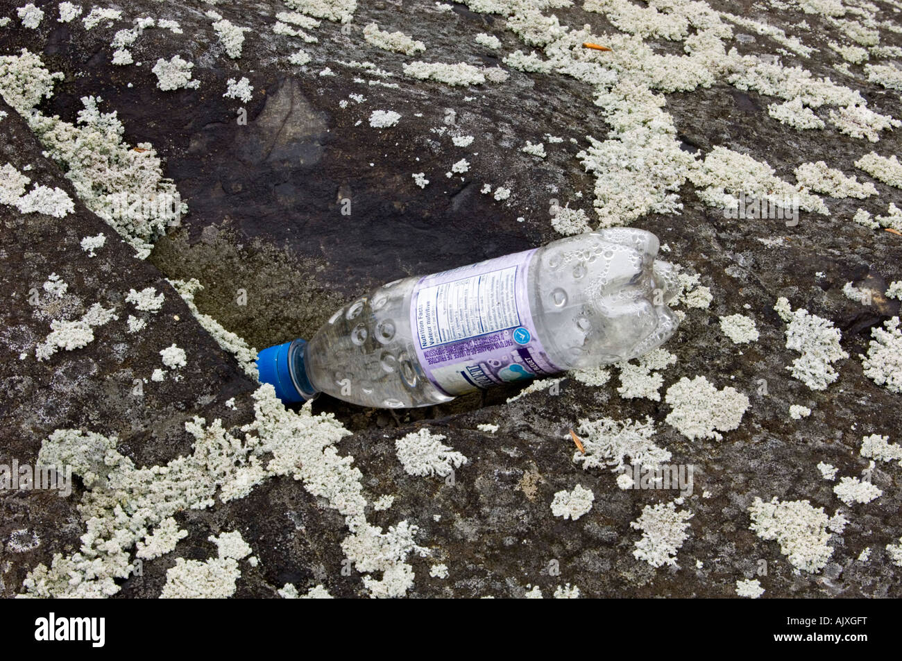 Discarded water bottle in natural area, Greater Sudbury, Ontario ...