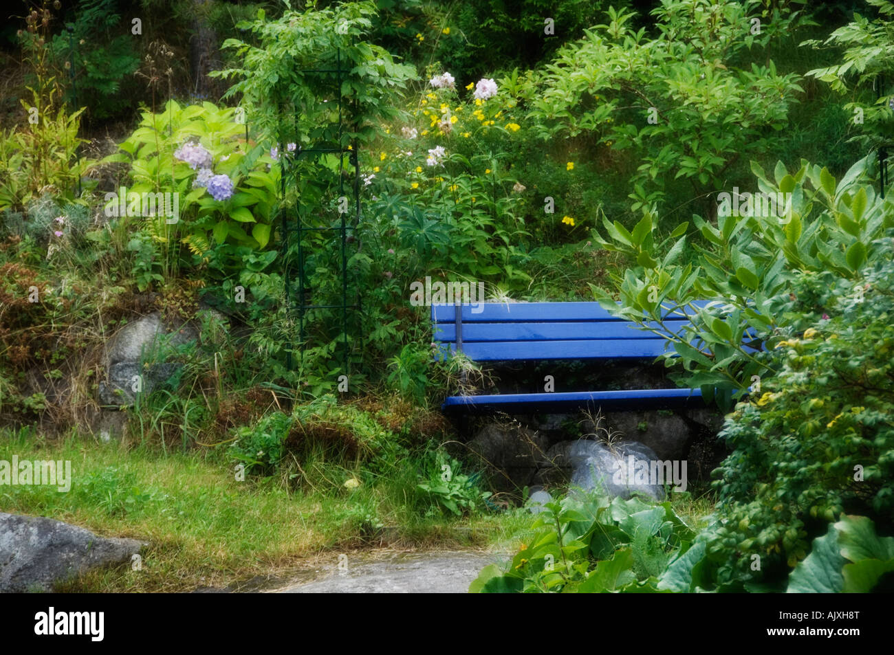 horizontal photograph of a blue bench in a garden Stock Photo - Alamy