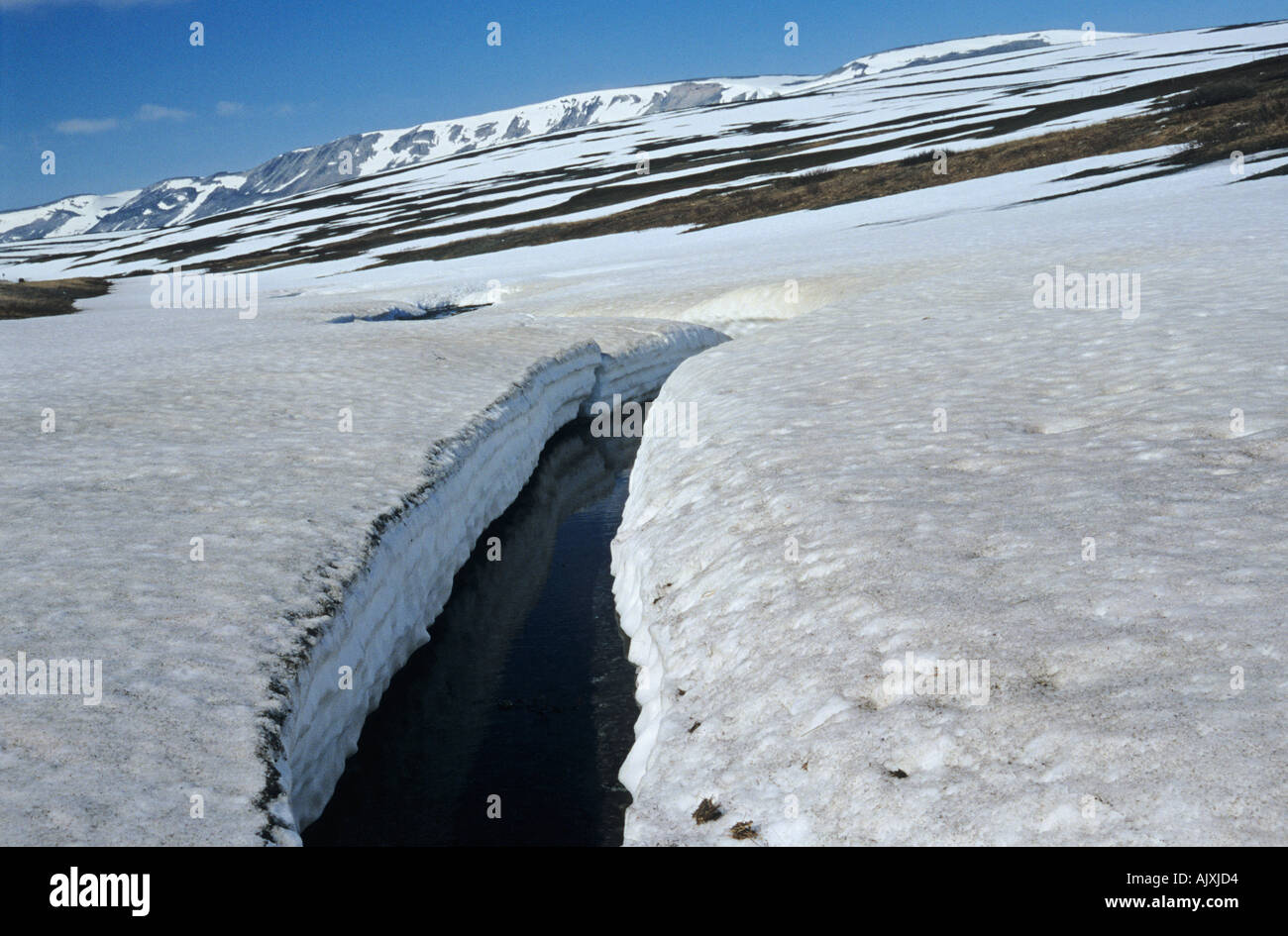 Snowy Arctic tundra landscape Stock Photo - Alamy