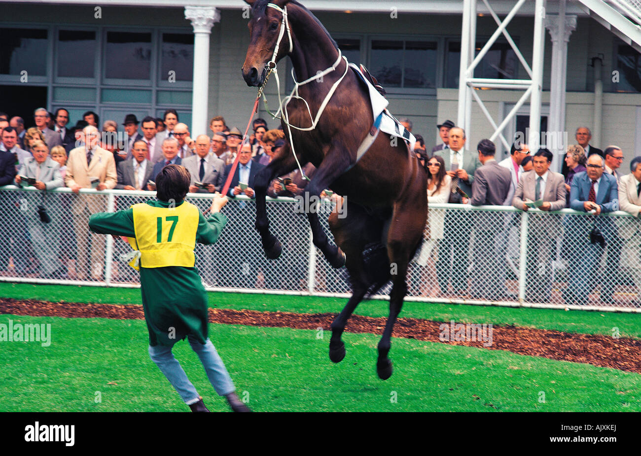 Spectators watching jockey trying to control rearing racehorse in ...