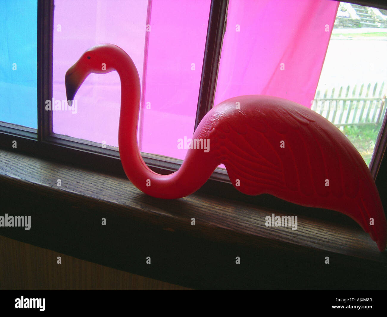 Still Life of a Pink Lawn Flamingo on a Window Sill with a Colorful ...