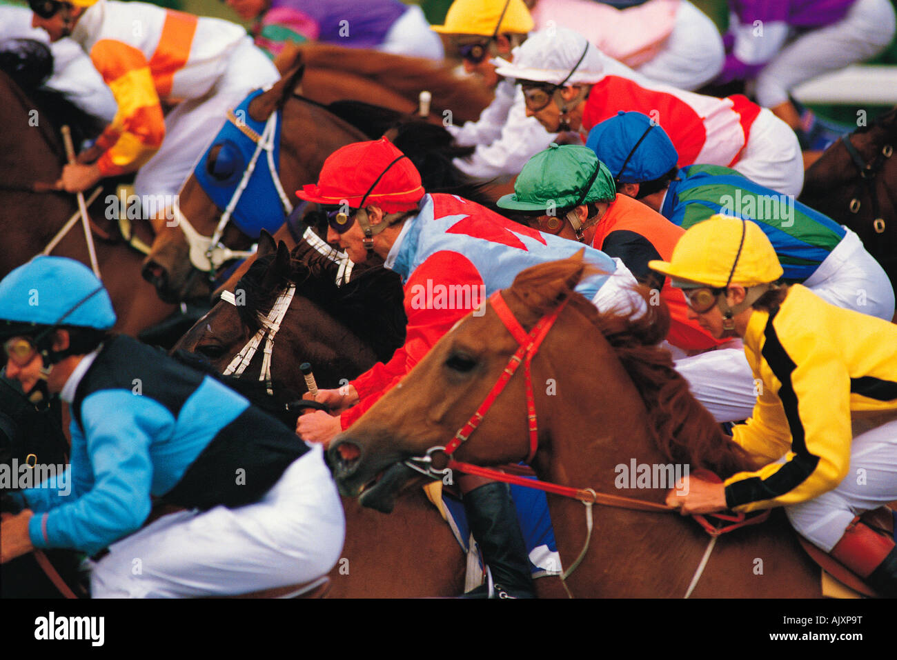 Horse Racing Jockey Riding Position at Christina Primm blog