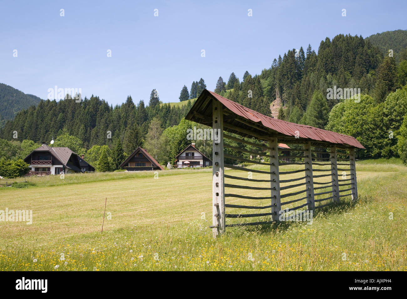 Flower drying rack hi-res stock photography and images - Alamy