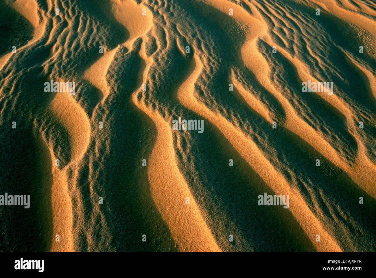 Sand ripples in the desert Stock Photo - Alamy