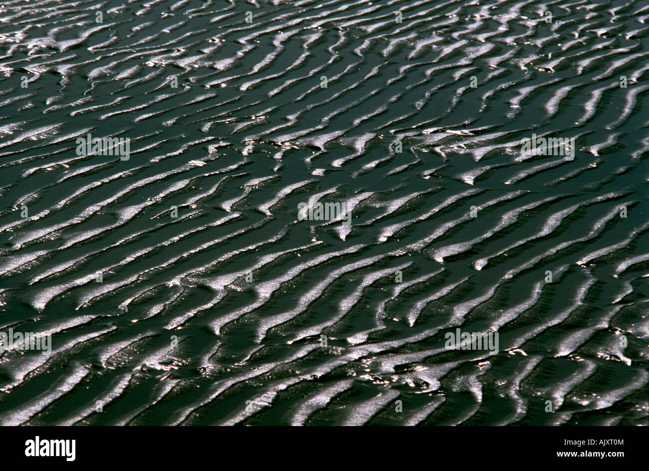 Sand ripples on a beach Stock Photo - Alamy
