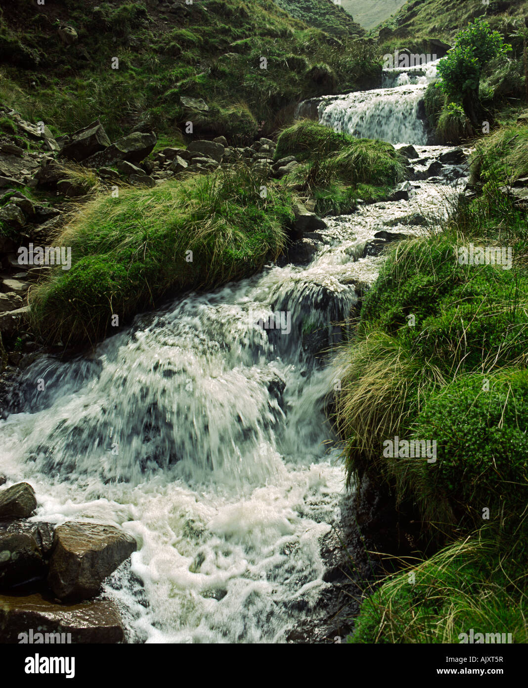 A bubbling brook or stream in Derbyshire, UK Stock Photo - Alamy