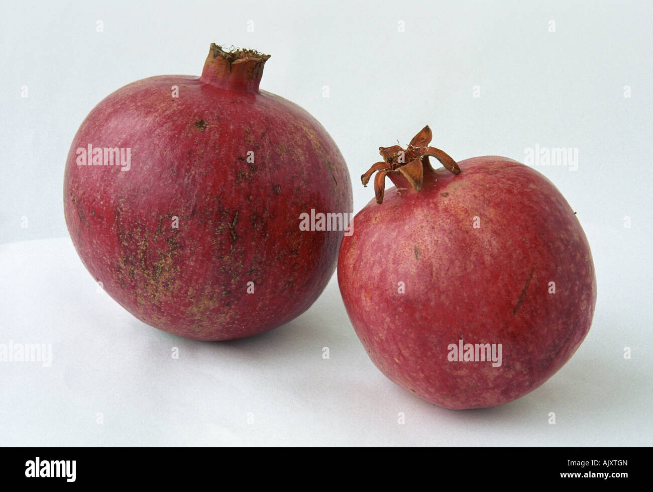two pomegranate on white Stock Photo - Alamy