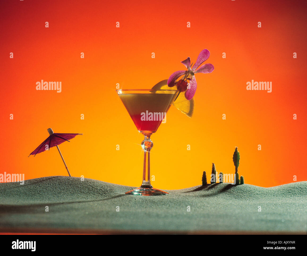 Tequila cocktail without people hi-res stock photography and images - Alamy