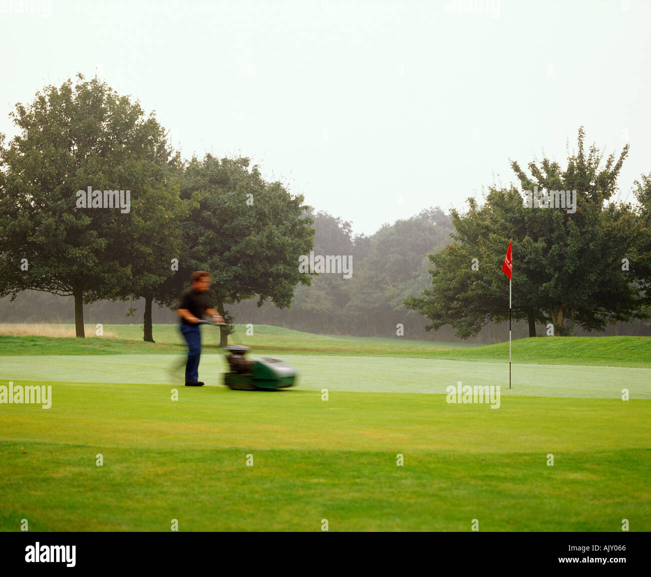 Mowing Golf Course Fairway High Resolution Stock Photography and Images ...