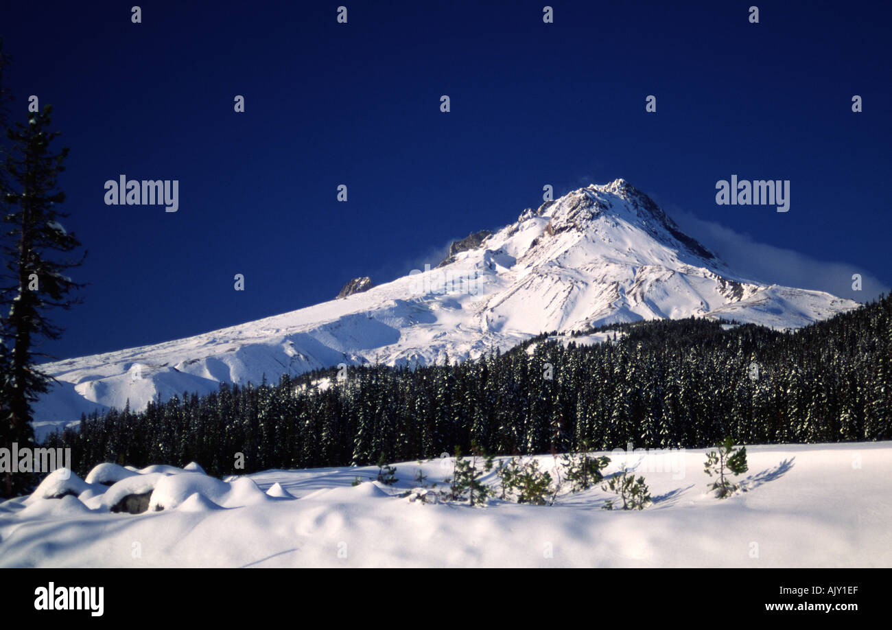 Mt Hood Oregon Stock Photo - Alamy
