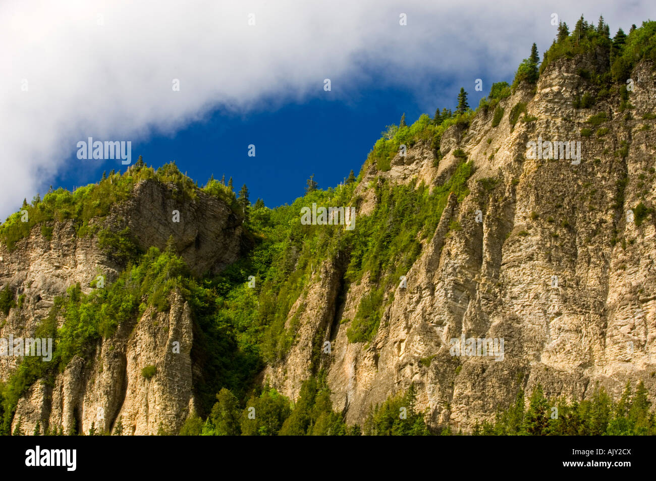 Cliffs at Cap-Bon-Ami- Mont Saint Alban, Forillon National Park, QC ...