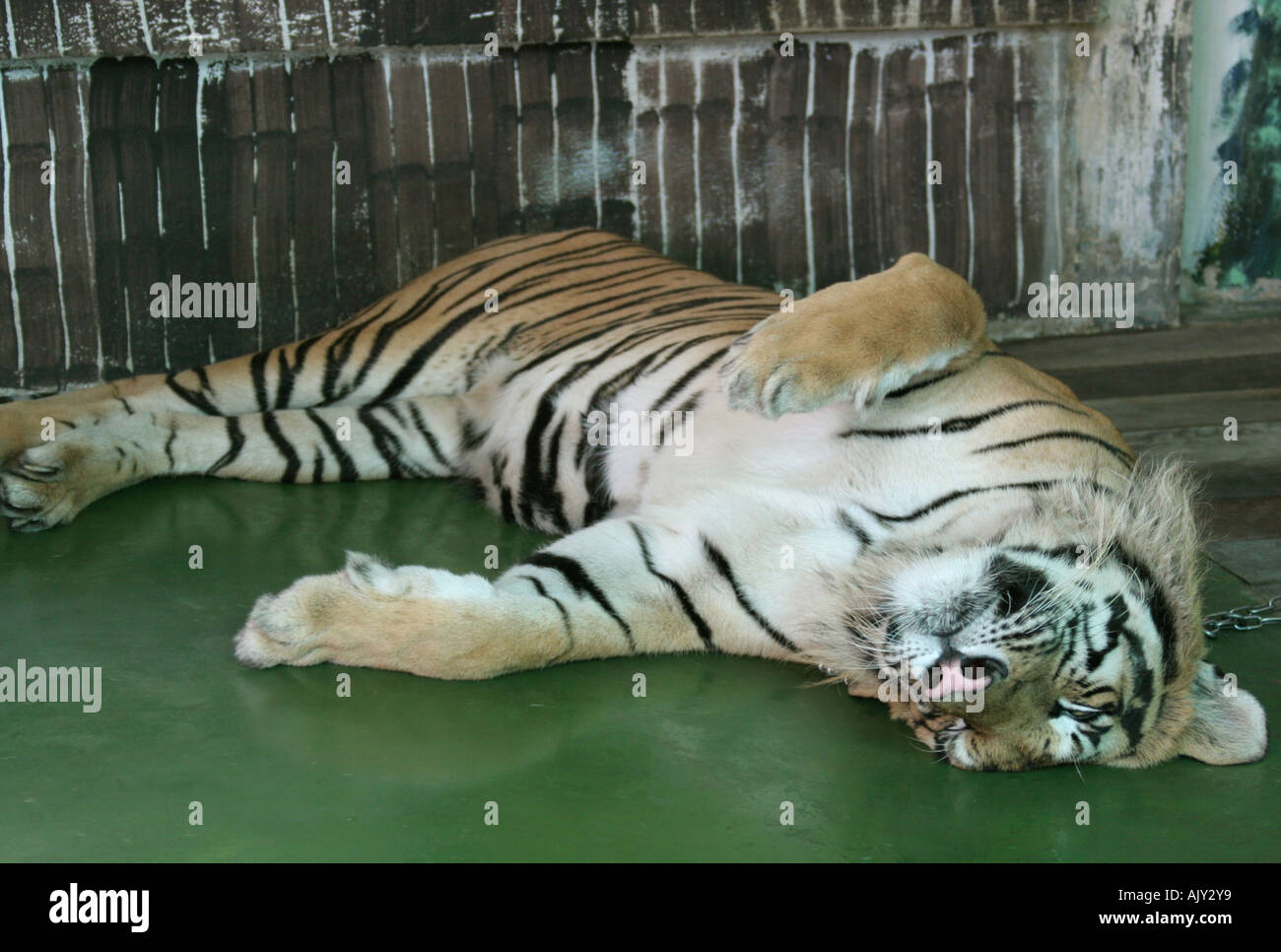 Samutprakarn Thailand 2006 Stock Photo - Alamy