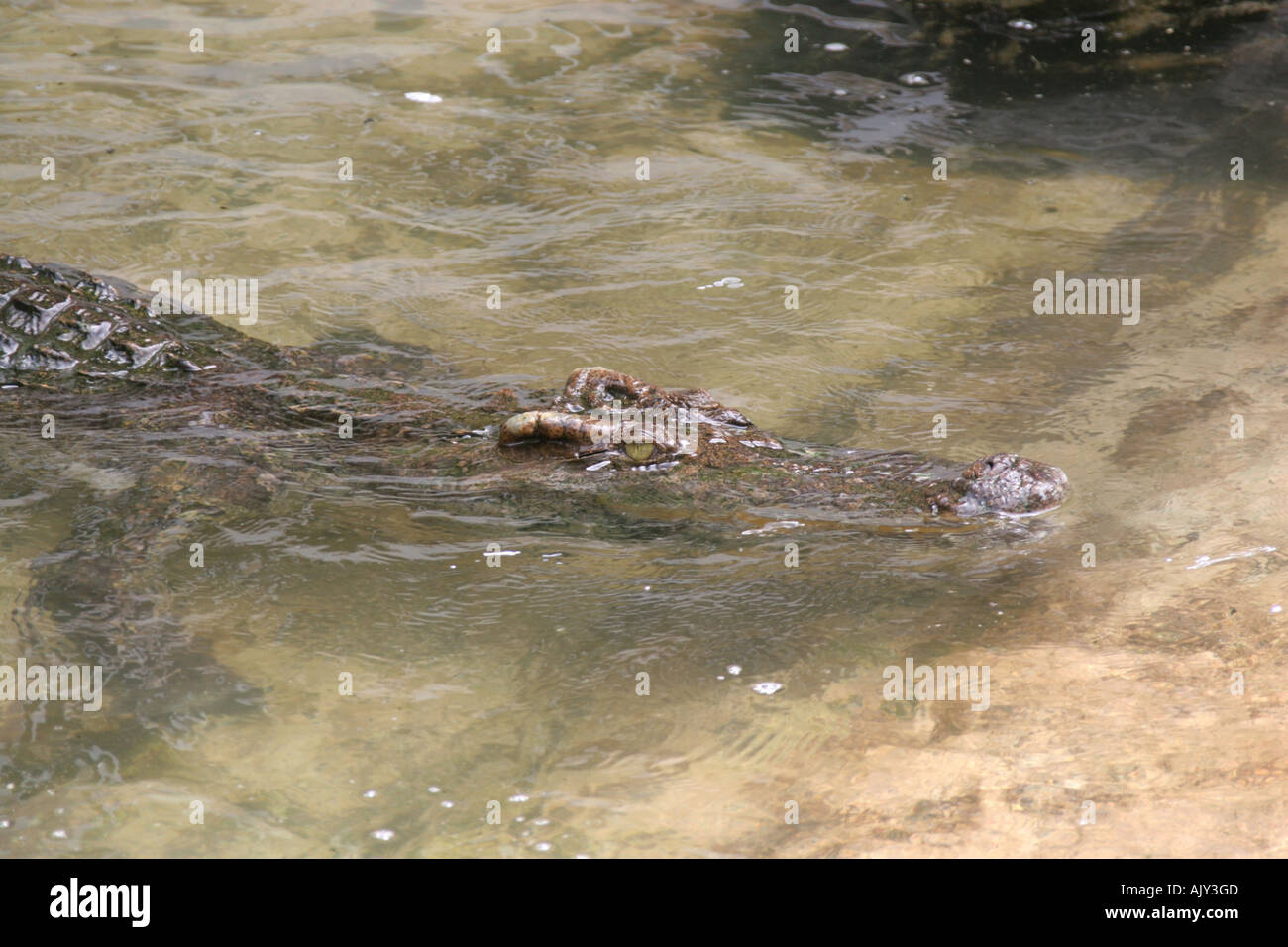 Samutprakarn Thailand 2006 Stock Photo - Alamy