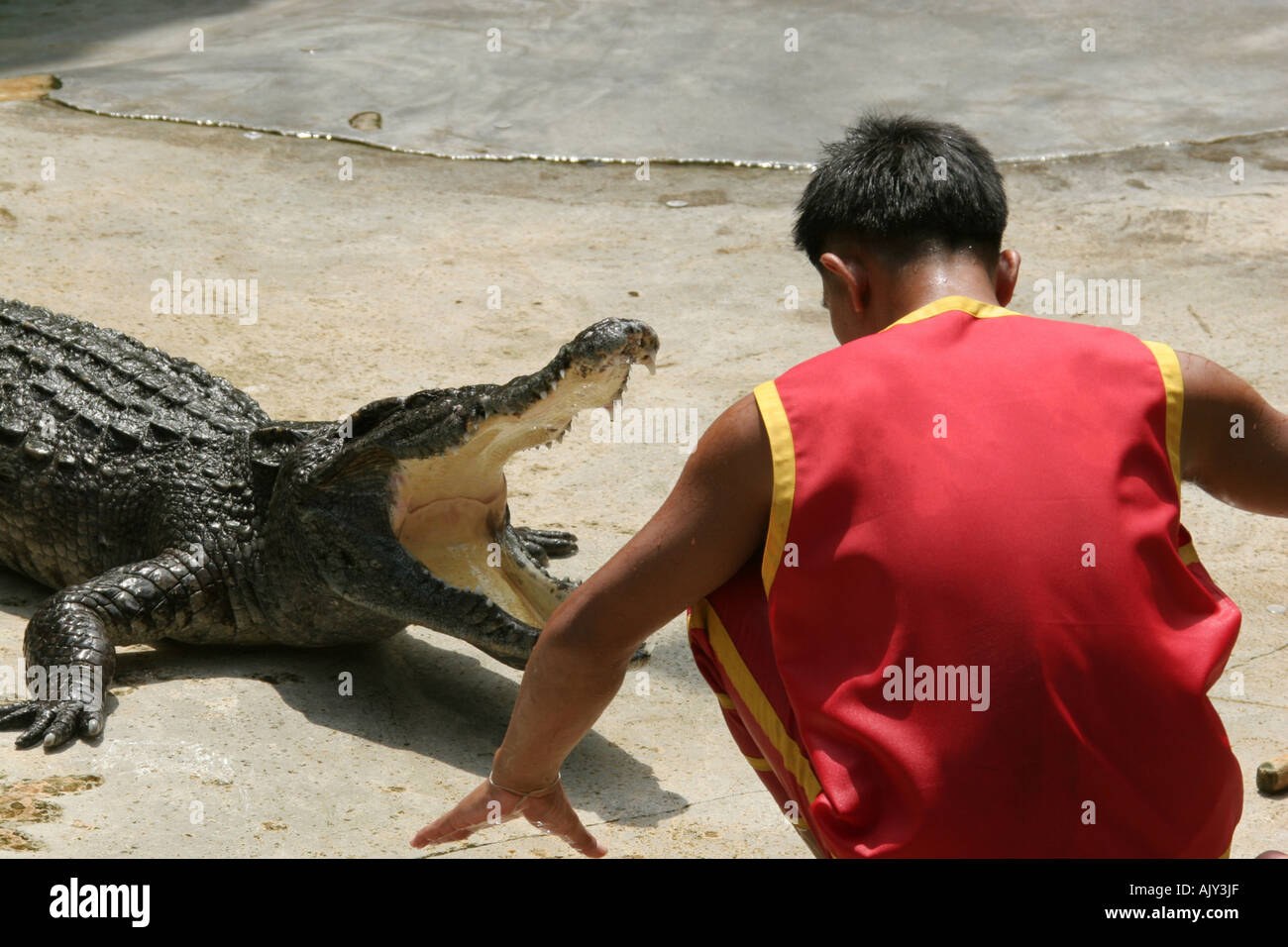 Samutprakarn Thailand 2006 Stock Photo - Alamy