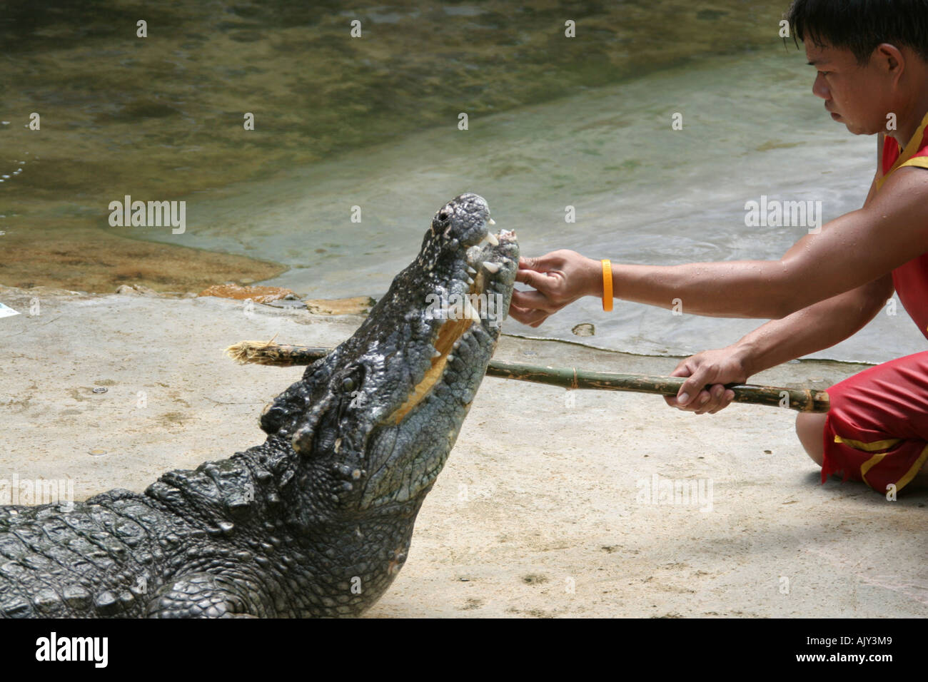 Samutprakarn Thailand 2006 Stock Photo - Alamy
