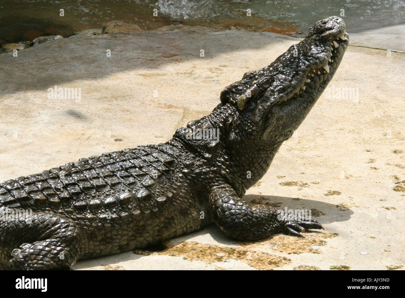 Samutprakarn Thailand 2006 Stock Photo - Alamy