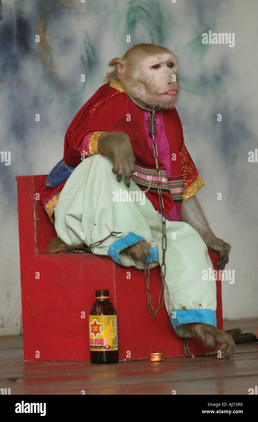 Samutprakarn Thailand 2006 Stock Photo - Alamy