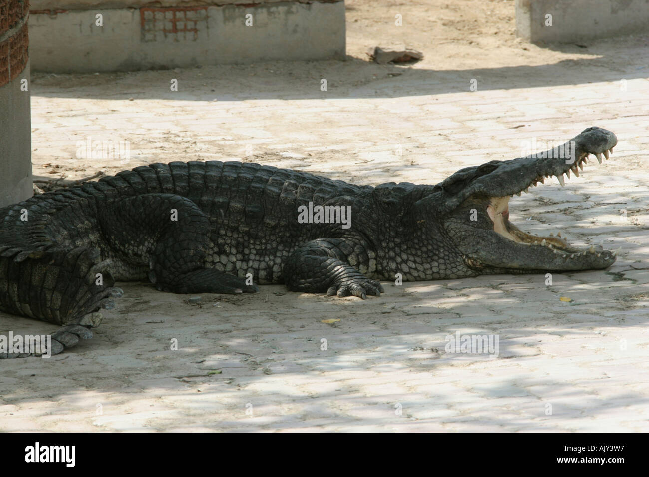 Samutprakarn Thailand 2006 Stock Photo - Alamy