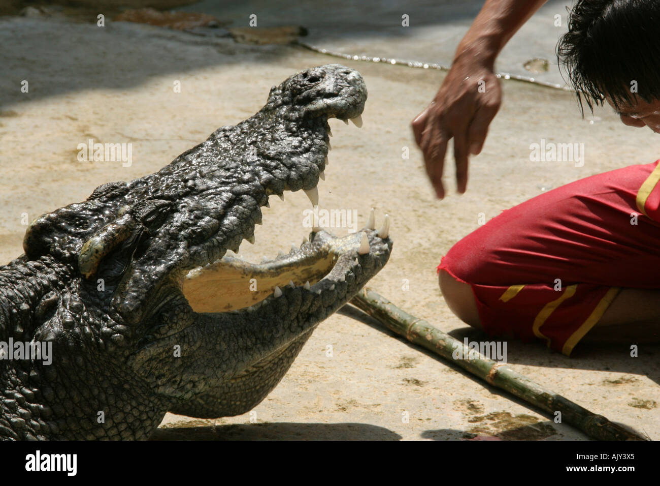 Samutprakarn Thailand 2006 Stock Photo - Alamy