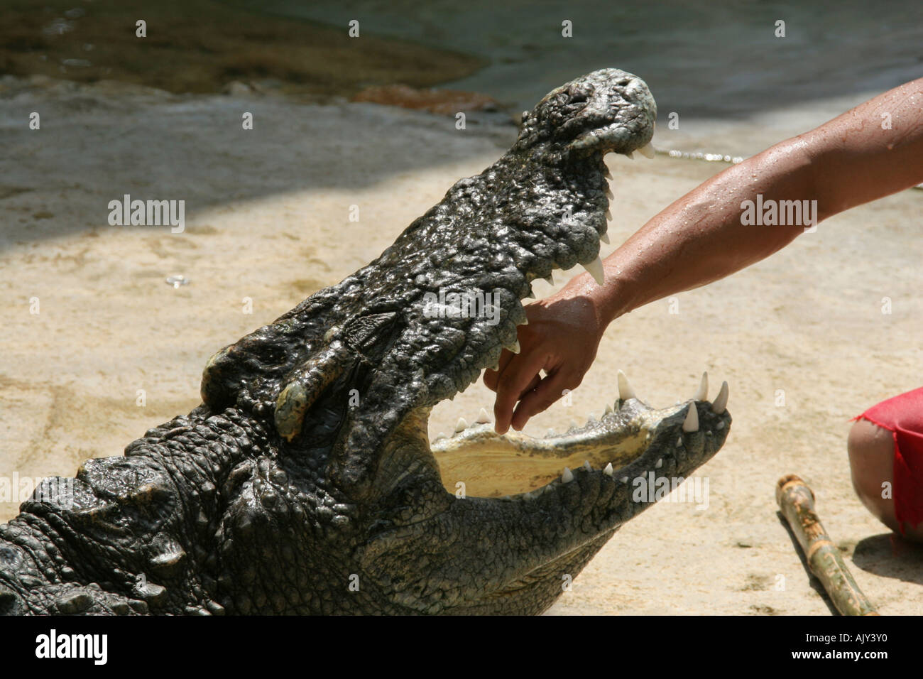 Samutprakarn Thailand 2006 Stock Photo - Alamy