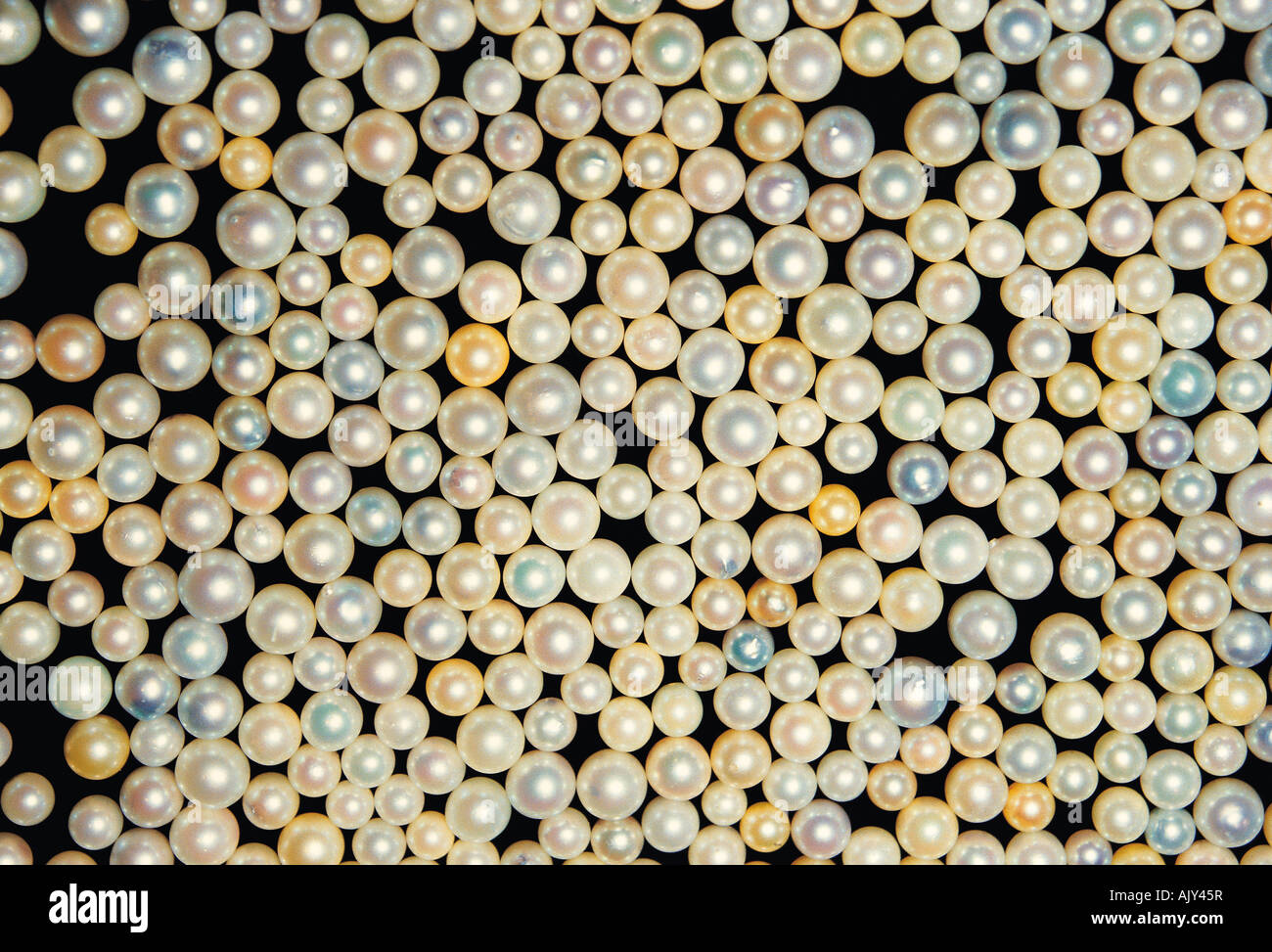 Still life. Pearls. Japan. Mikimoto cultured pearl industry Stock Photo ...