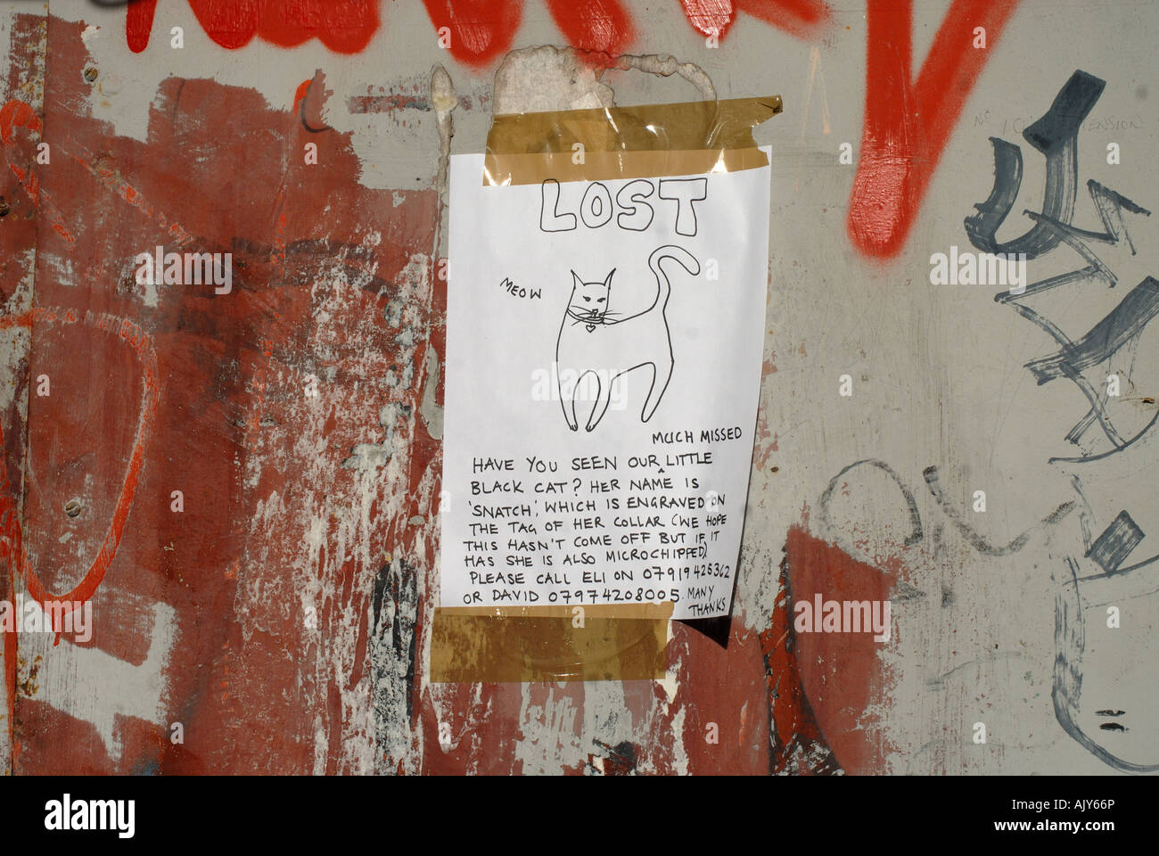 Lost cat notice hi-res stock photography and images - Alamy