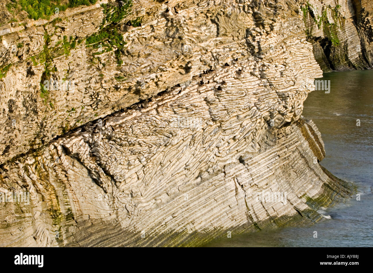 Detail of eroded rock patterns in Cap-Bon-Ami cliffs, with seabirds ...