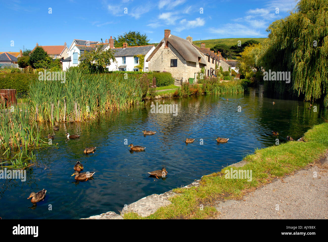 Sutton Poyntz, Dorset, Britain, UK Stock Photo - Alamy