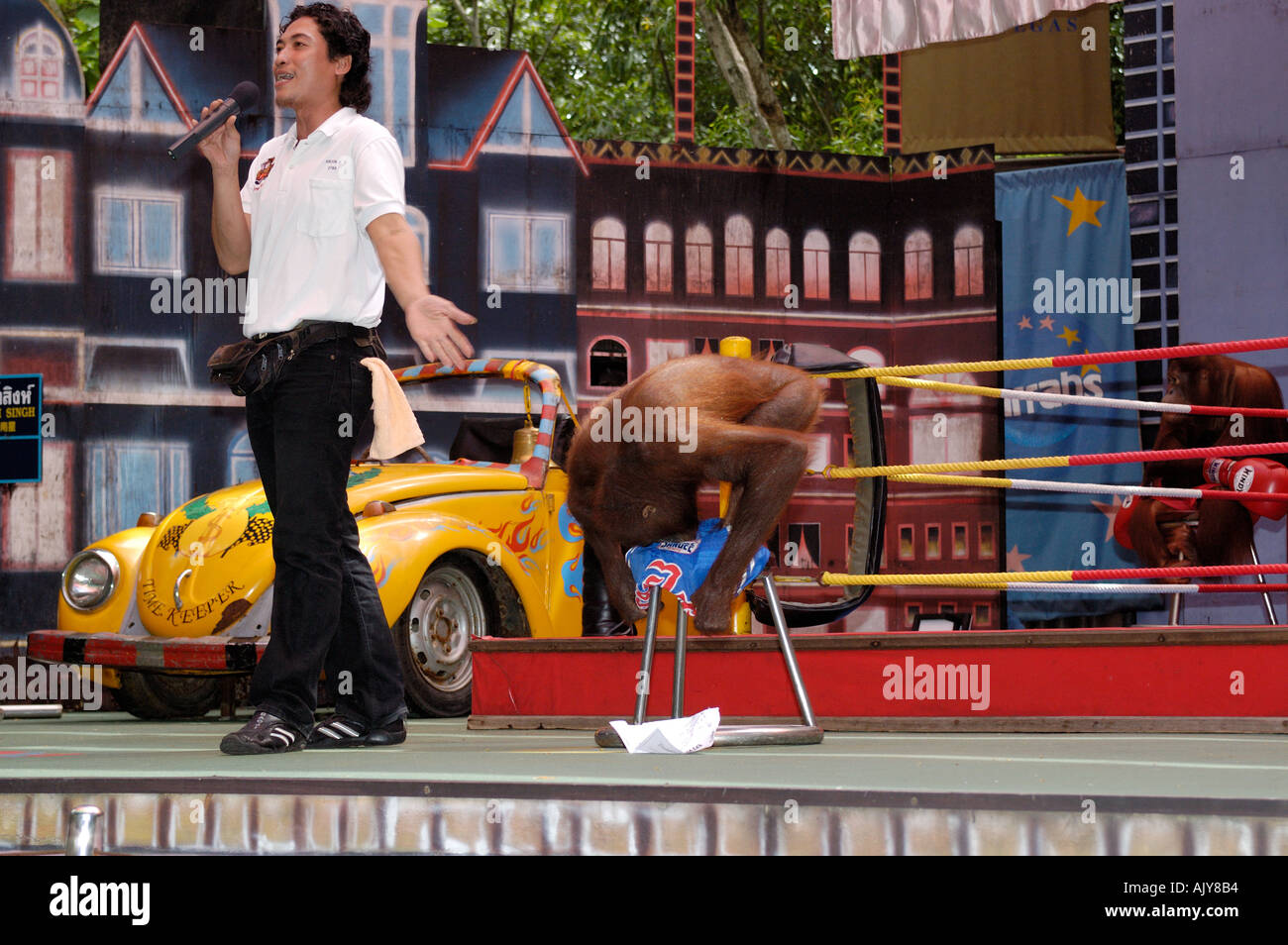 Thailand Bangkok Monkey Boxing in Safari World Stock Photo - Alamy
