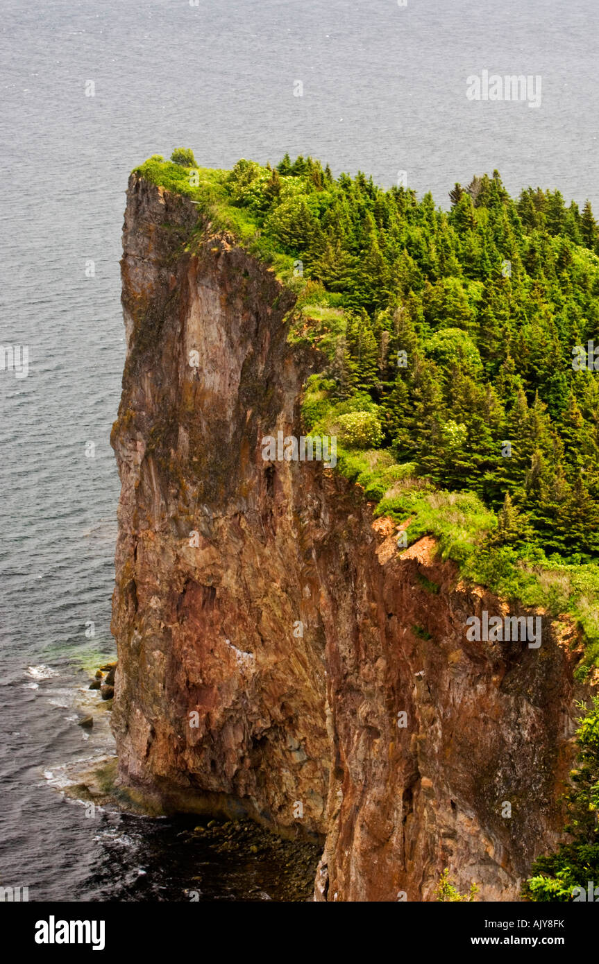 Pic d'Aurore- Cliff detail from high viewpoint, Percé, QC Quebec ...