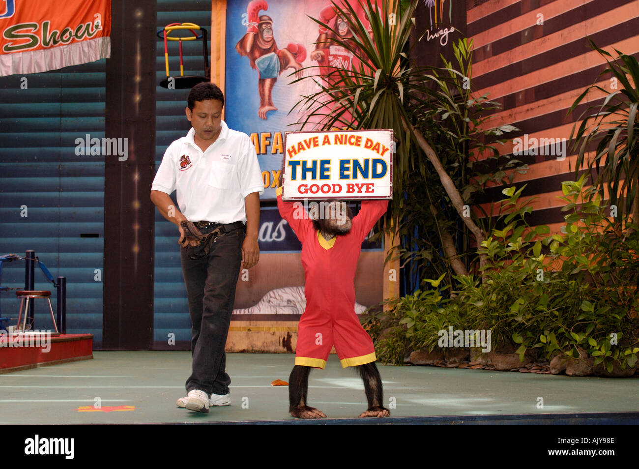 Thailand Bangkok Monkey Boxing in Safari World Stock Photo - Alamy