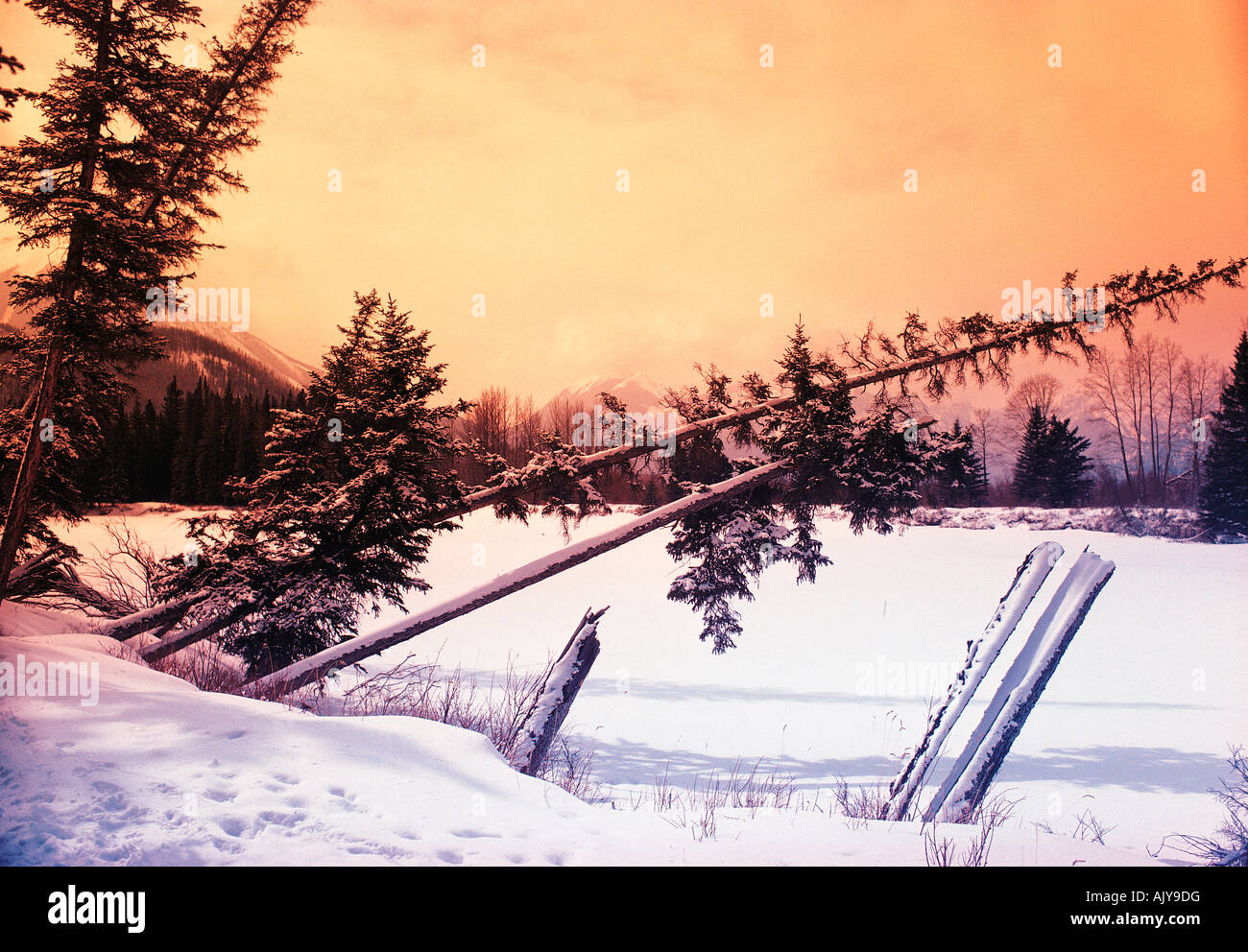 Canada. Alberta. Winter snow scene. Frozen lake Stock Photo - Alamy