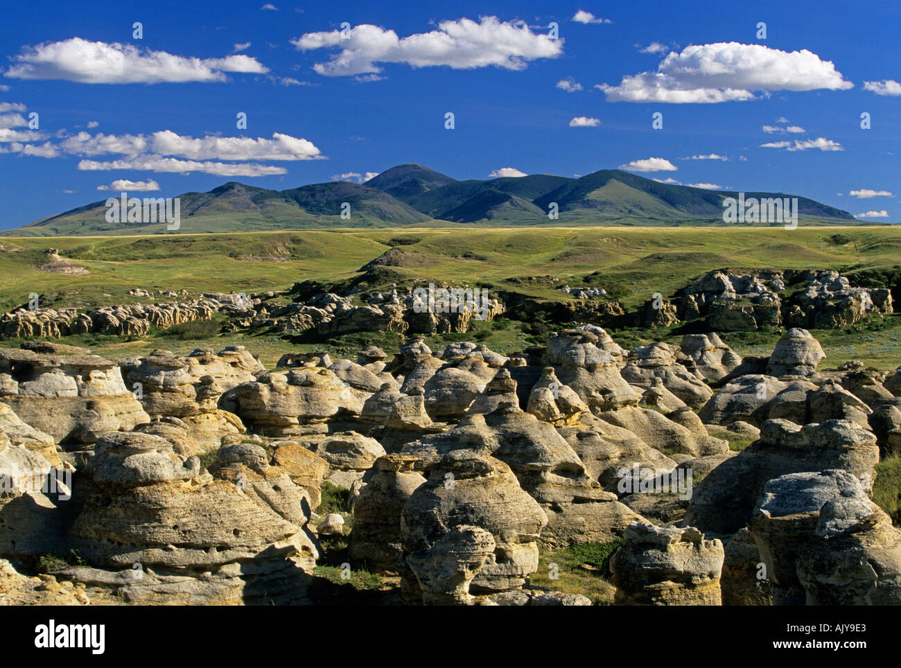 Writing On Stone Provincial Park Alberta Canada Stock Photo - Alamy